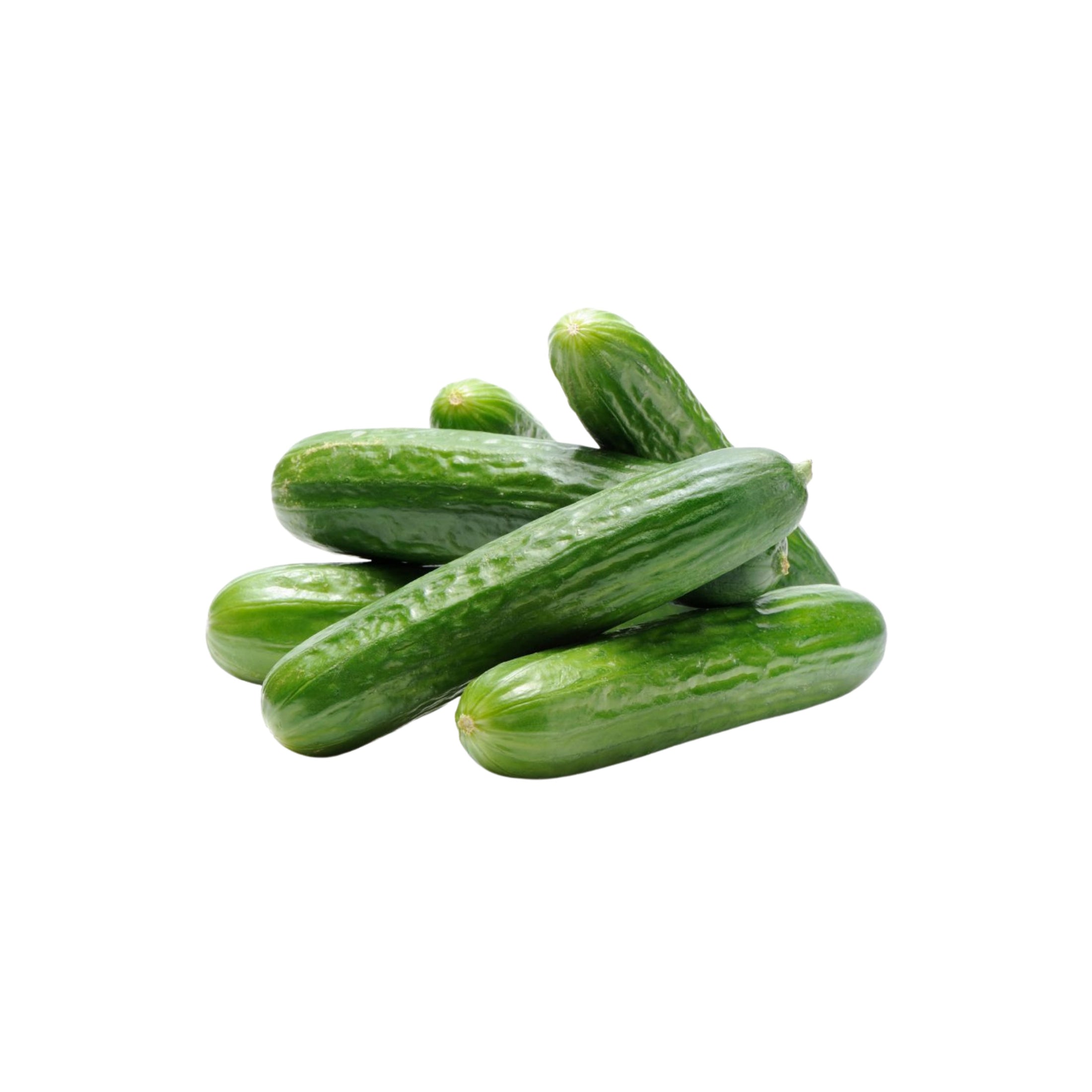 Buy Pakistani Fresh Cucumber (Kheera) - Pakistan Supermarket UAE