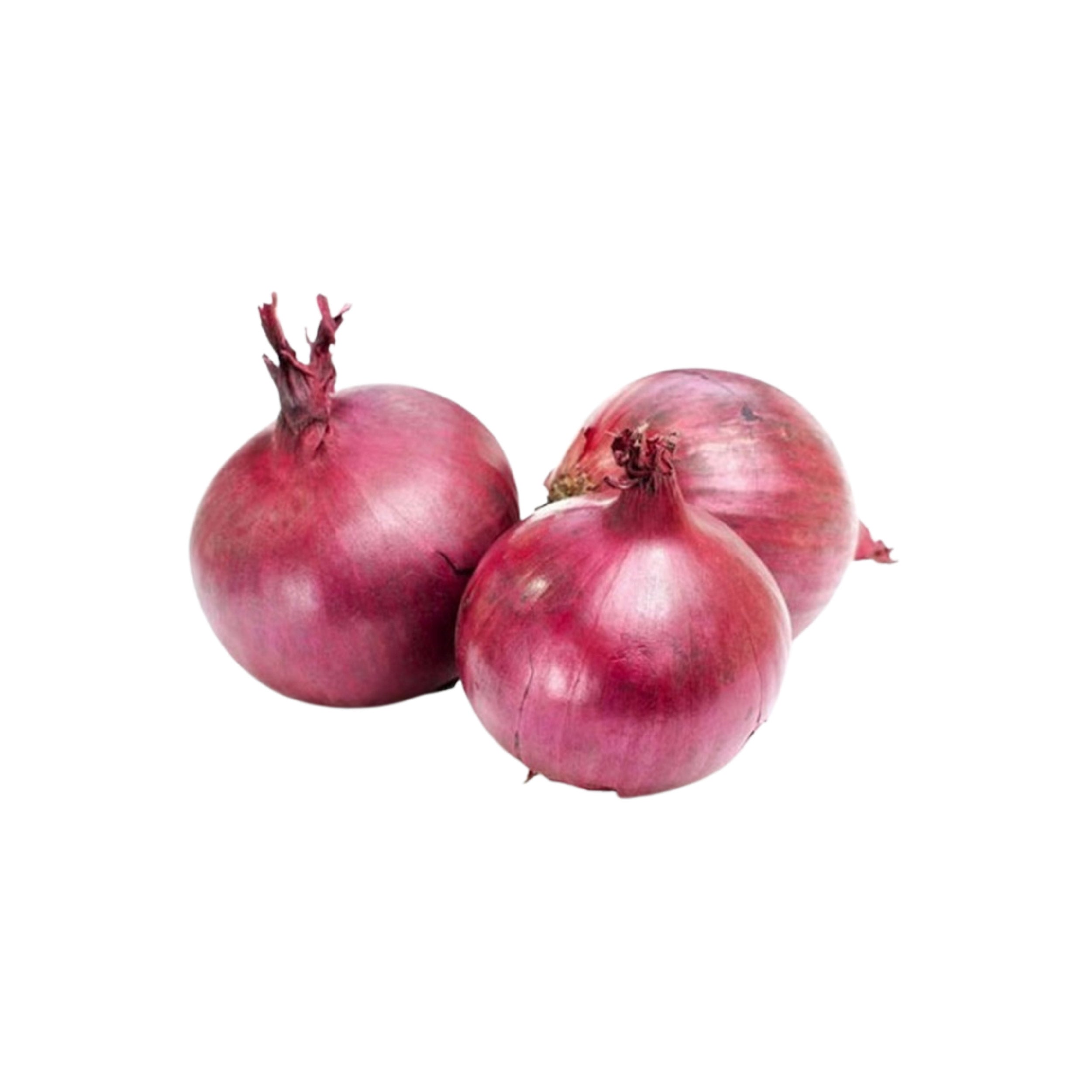 Buy Pakistani Onion (Payaz) - Pakistan Supermarket UAE