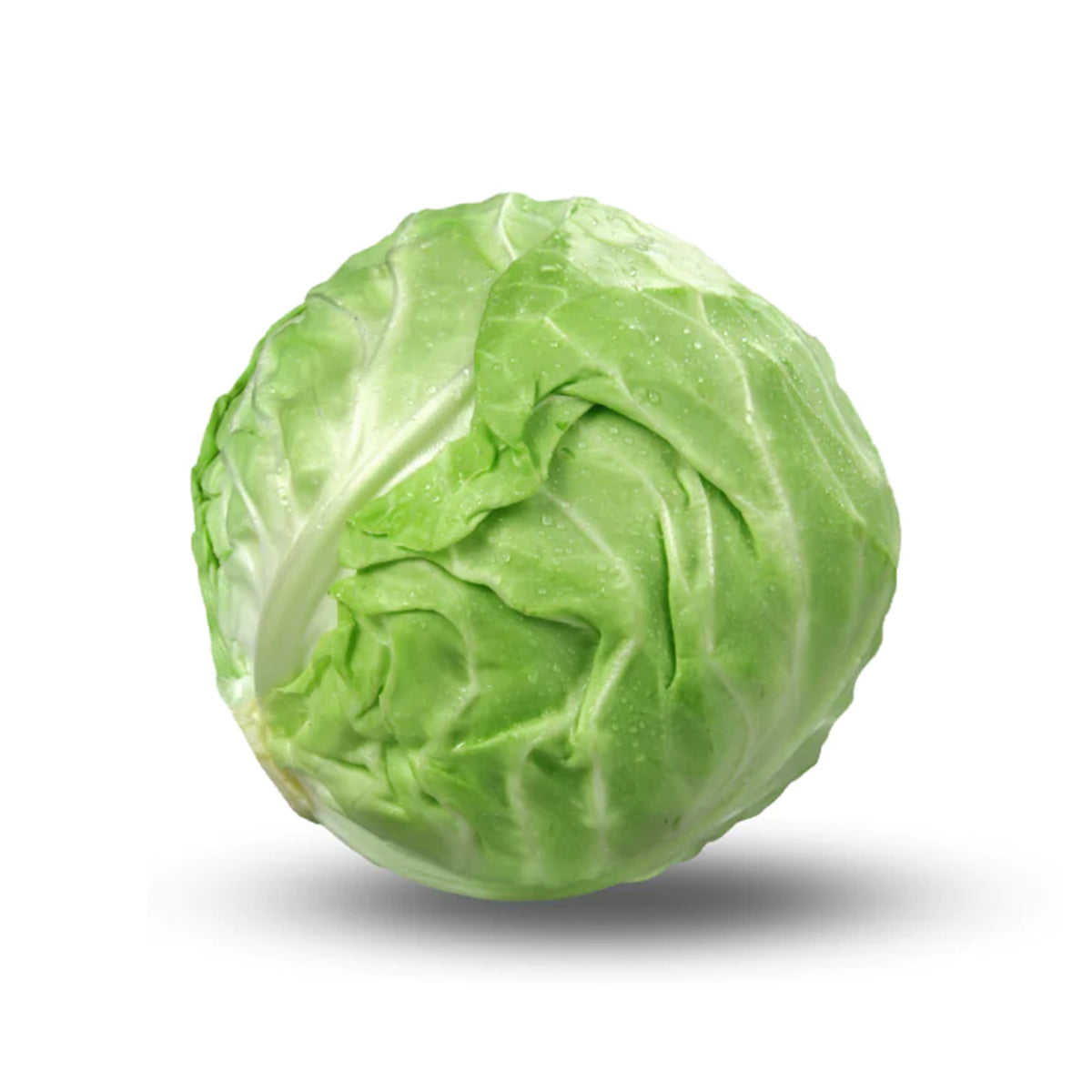 Buy Pakistani Fresh Cabbage (Band Ghobi) - Pakistan Supermarket UAE